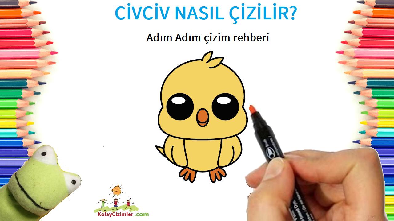 Adım Adım Civciv Çizimi ve Boyama Sayfası - Kolay Çizimler