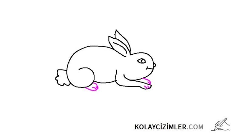 62 - Sayısından Kolay Tavşan Çizimi - Kolay Çizimler