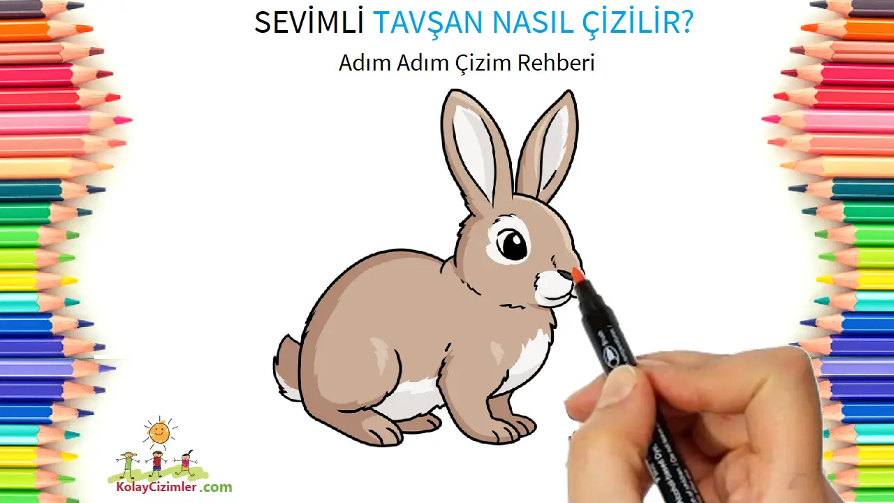 Adım adım Tavşan Çizimi - Kolay Çizimler
