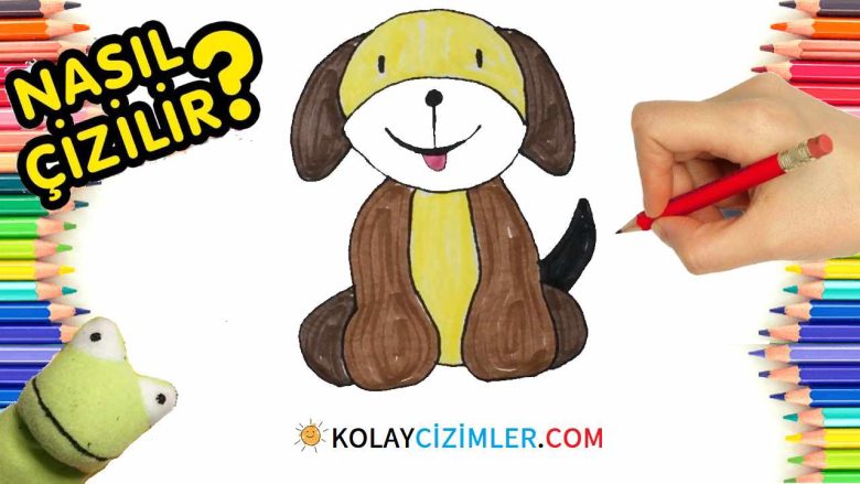 Köpek Resmi Çizimleri - Kolay Çizimler